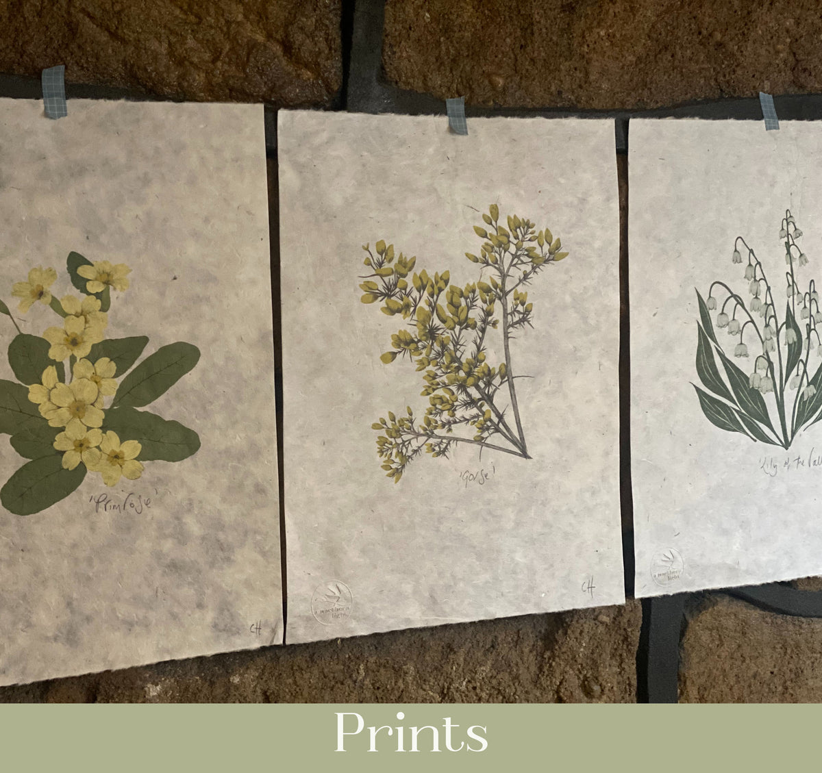 Lokta paper prints – a northern light