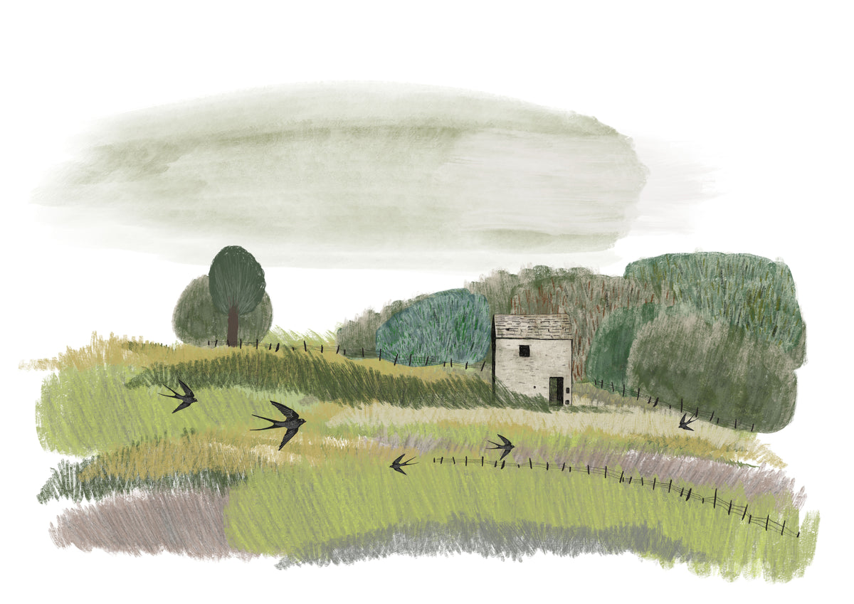 Dales Way Lamp – a northern light